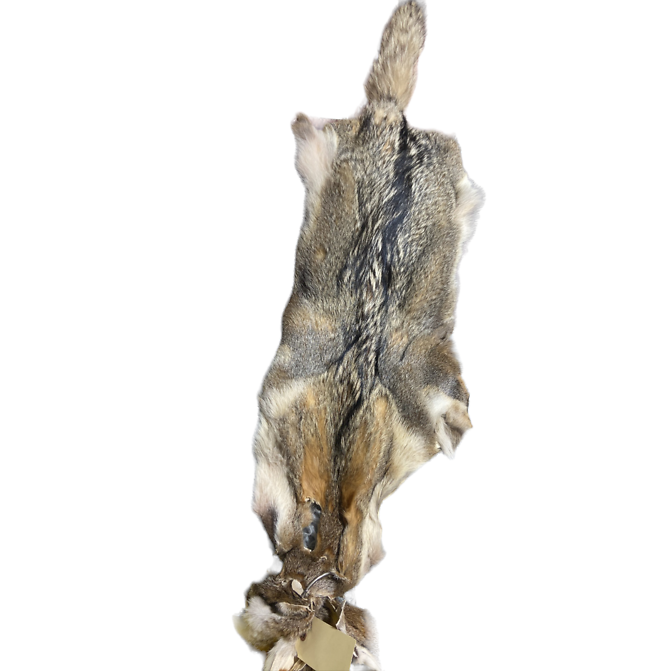 Closeout - BSTrading