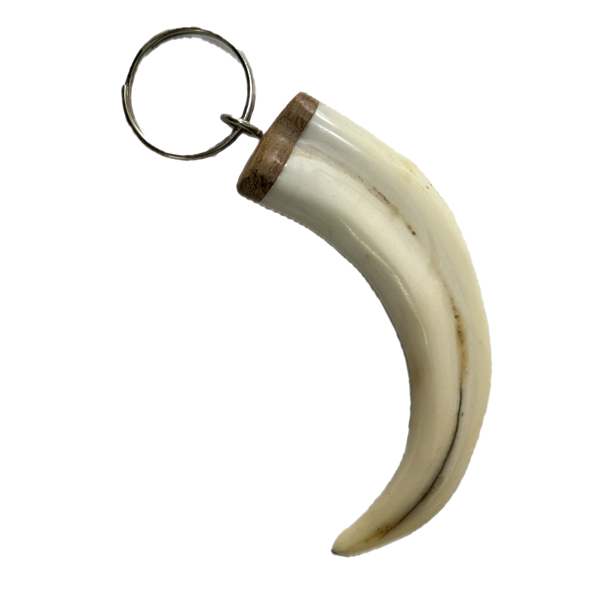 Warthog Tusk Keychain (Closeout) - BSTrading
