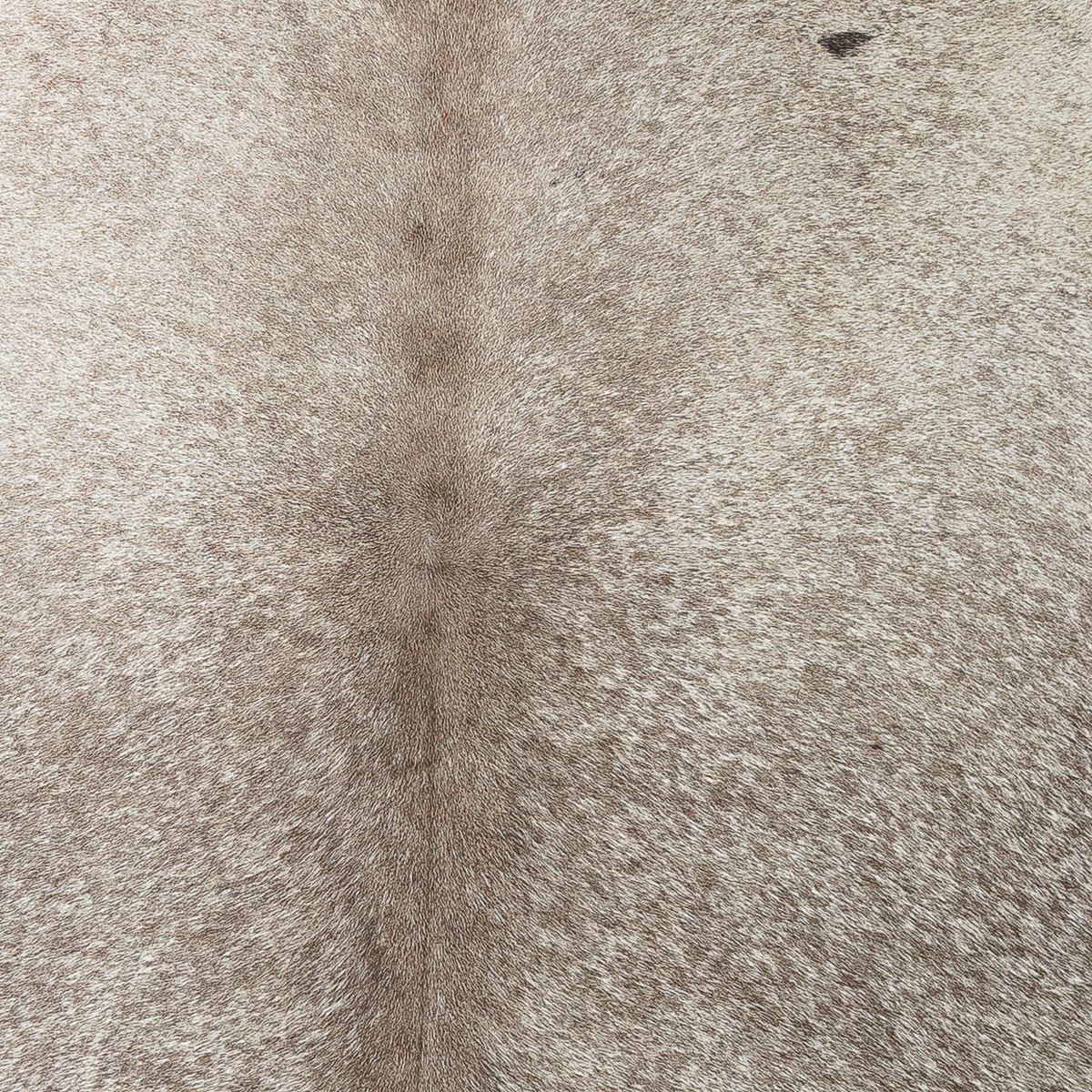 Lg Alpin SP - BSTrading